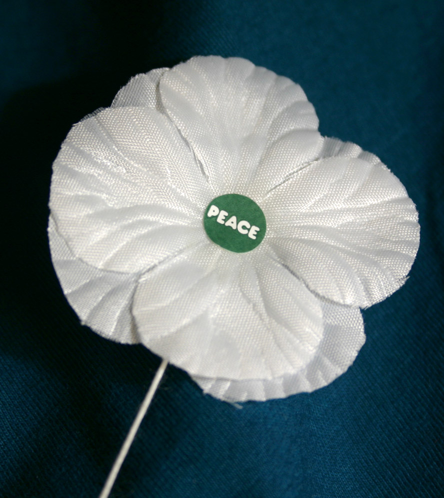 The White Poppy is almost as old as the more familiar red one – Peace ...